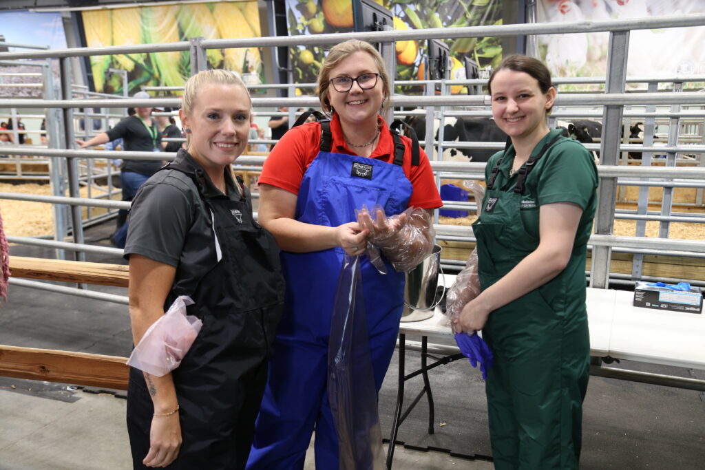 Curing Georgia's Veterinary Shortage: A Grassroots Effort UGA ...